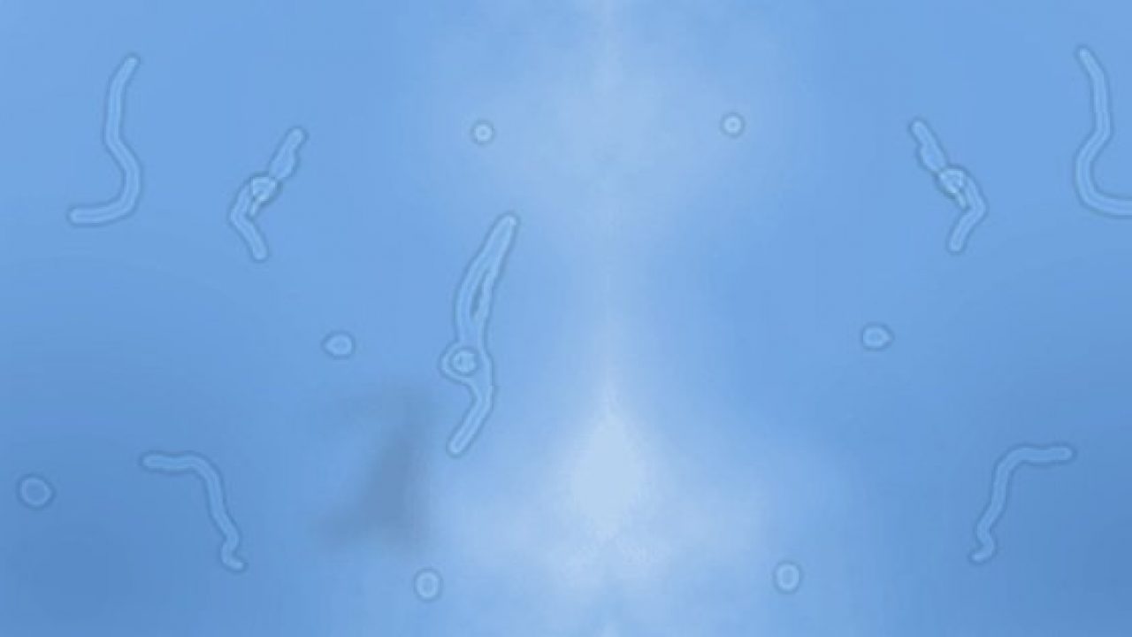 Fenómeno Entópico de Campo Azul o Fenómeno de Scheerer - A Óptica de Ana